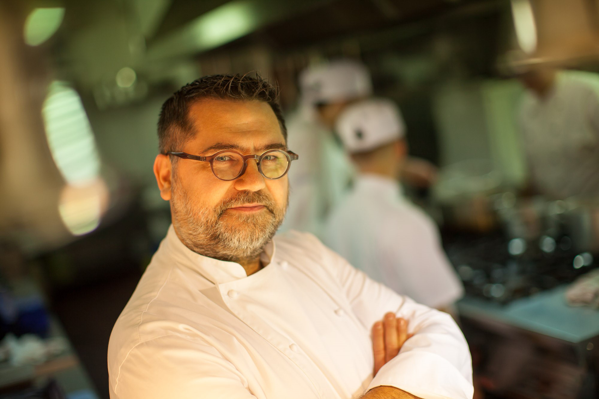 Consultancy – Angelo Sabatelli